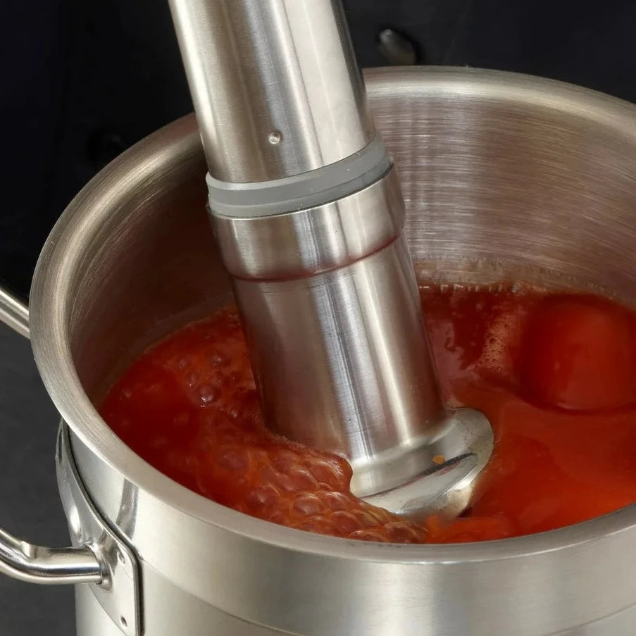Compact Combi Mixer/Whisk,Var Speed 300mm shaft– CE Catering Equipment
